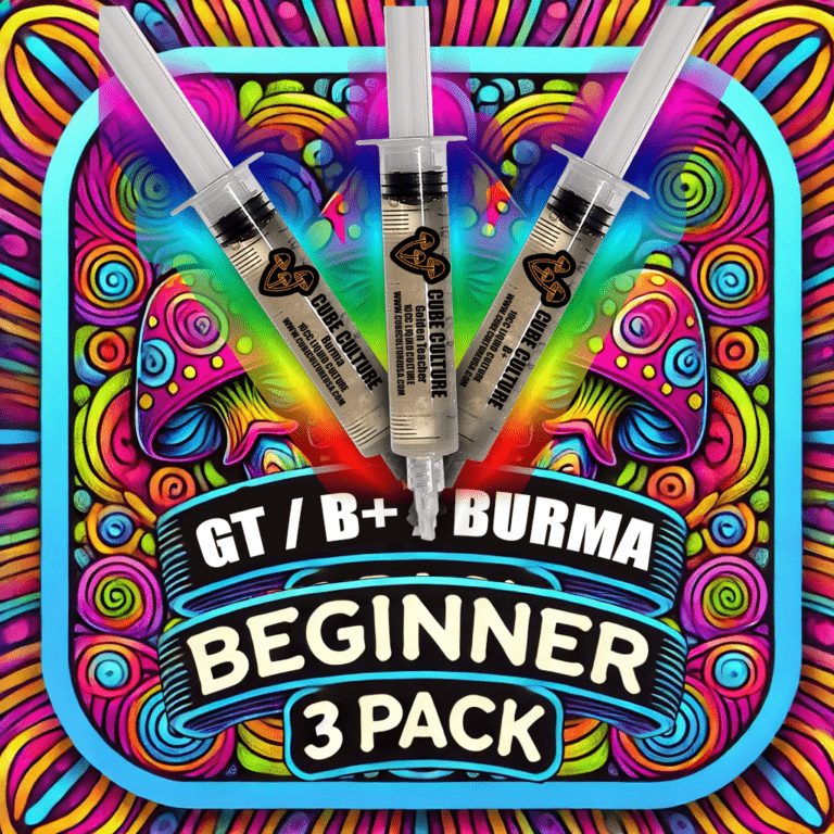Cube Culture Beginner 3 PACK - Golden Teacher / B+ / Burma - Isolated ...